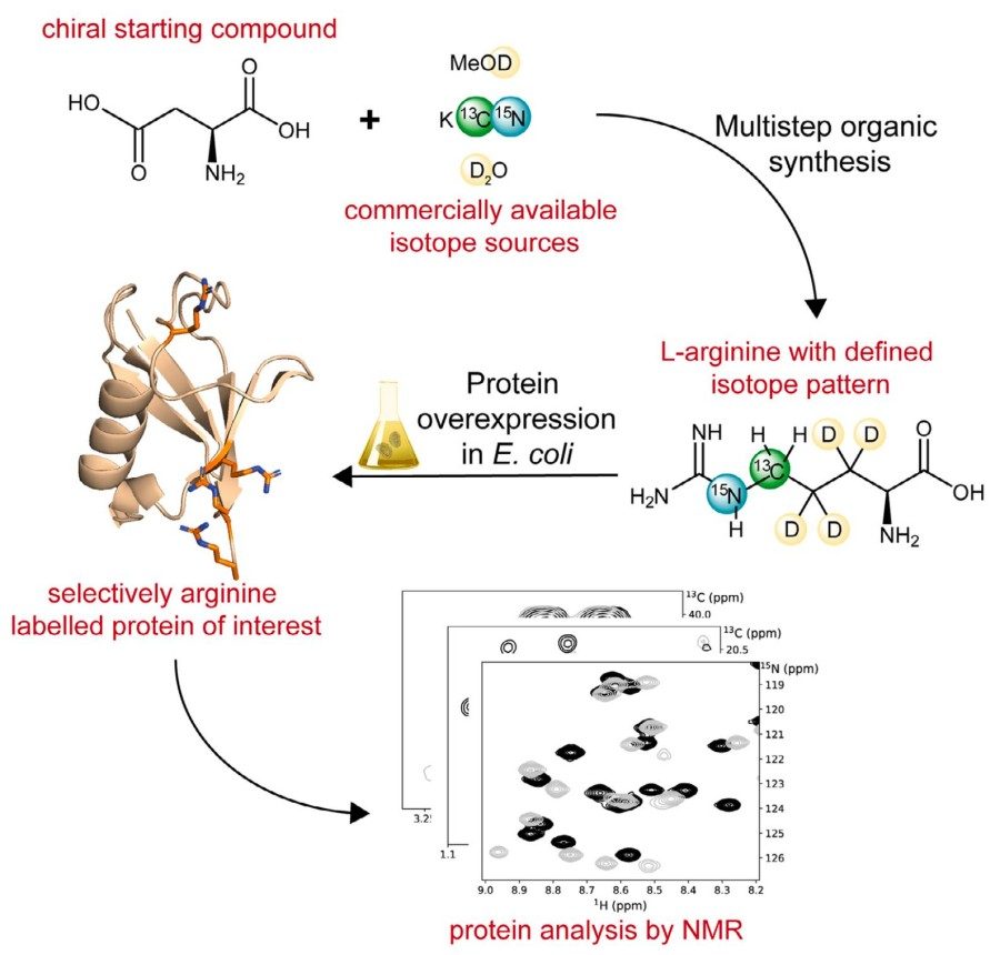 2H 13C 15N Triple Labeled Compounds - Isotope / BOC Sciences