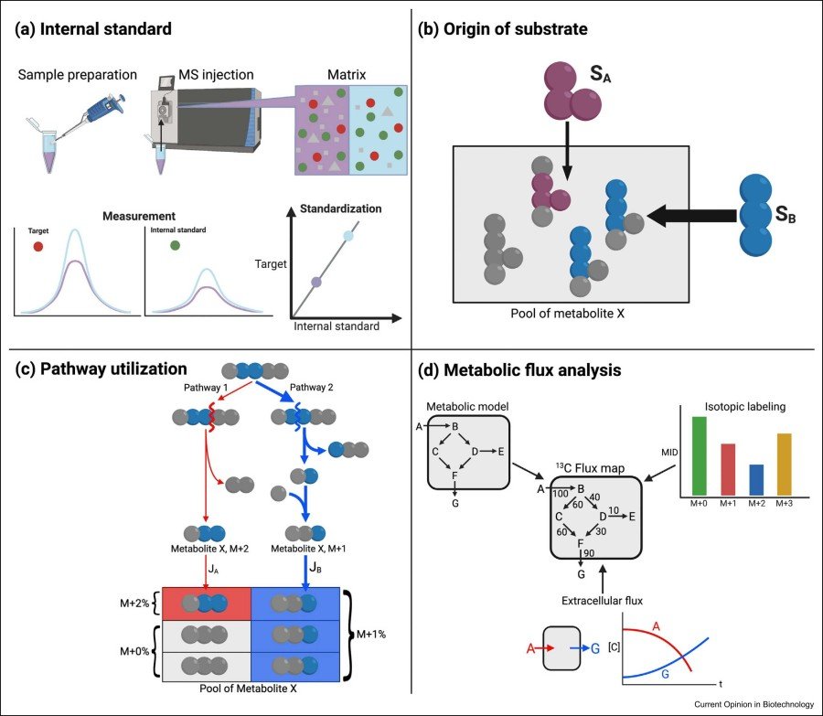 How Isotopes Are Identified - Isotope Detection Methods - Isotope / BOC Sciences