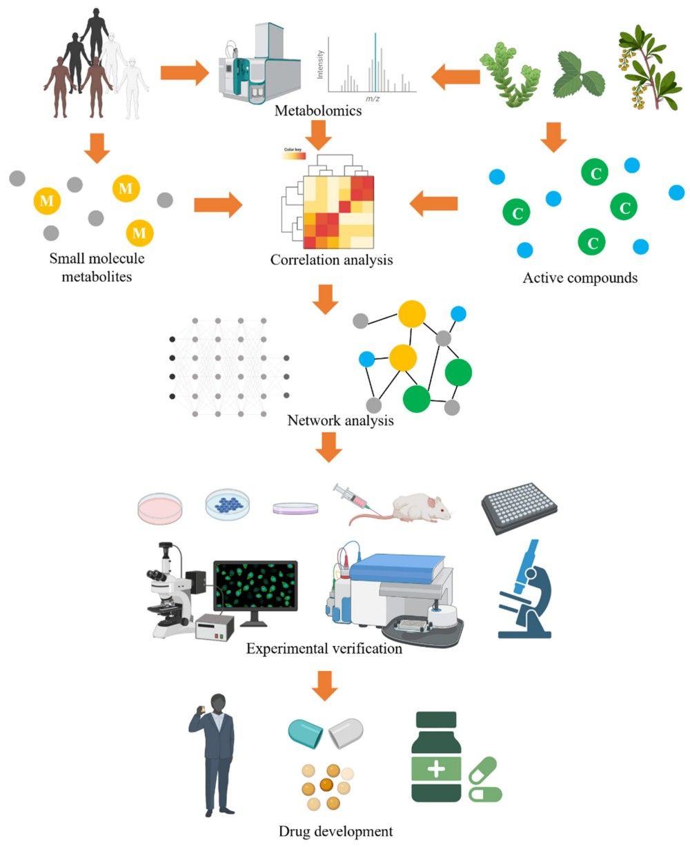 Isotope Labeling for Metabolite Identification Challenges - Isotope ...