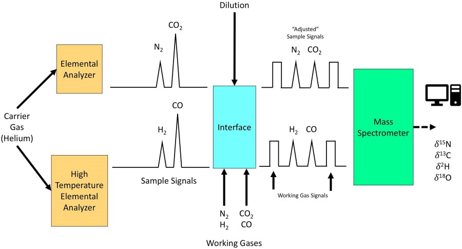 What is Stable Isotope Analysis? - Uses and Techniques - Isotope / BOC ...